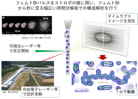 領域概要 新学術領域「高速分子動画」