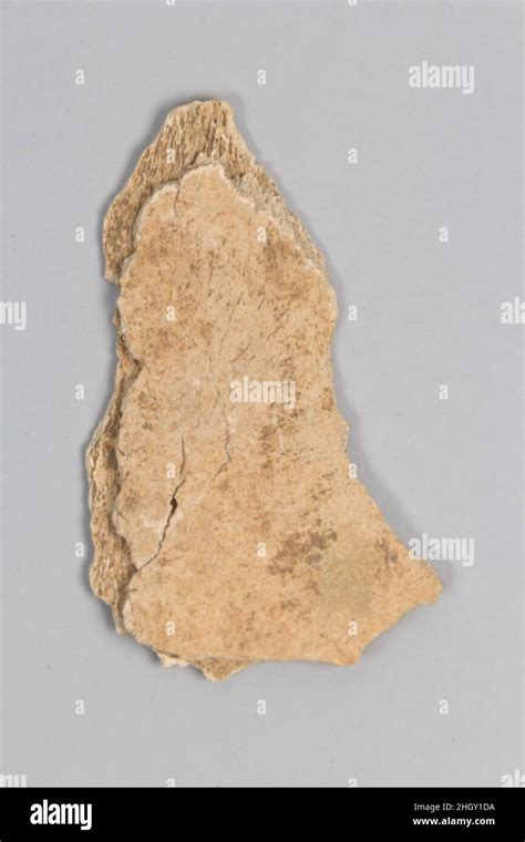oracle bone fragment china oracle bone fragment china bone shang