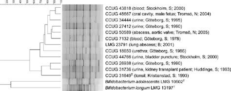 Dendrogram Showing Clustering Of Digitally Inverted Gtg 5 Pcr