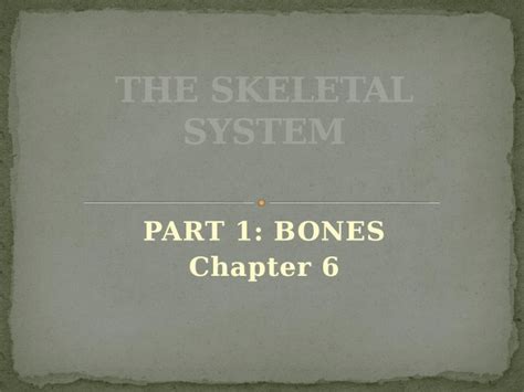 Pptx Part 1 Bones Chapter 6 A Connective Tissue 18 Of Weight Of Human Body Skeletal System