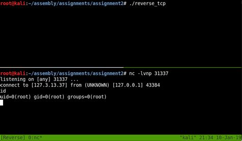 Writing A Linux Shellreversetcp Shellcode Using Assembly X86 I4bdullah