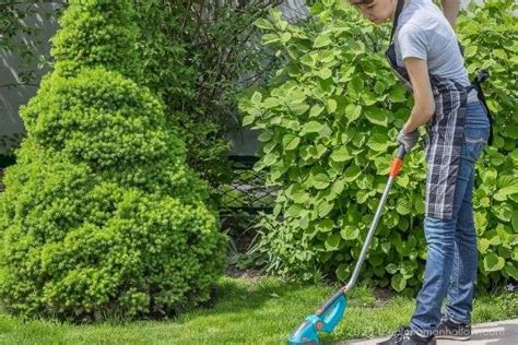 The Importance Of Lawn Maintenance