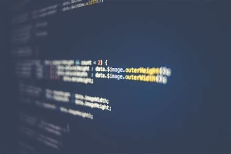 Software Developer India