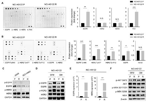 The Pem Acquired Resistant Nsclc Cell Harboring Eml4 Alk Rearrangement