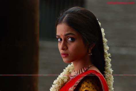 Sheena Actress Hd Photosimagespics And Stills 63060