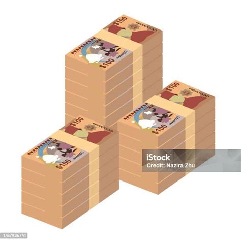 Brunei Dollar Vector Illustration Brunei Money Set Bundle Banknotes