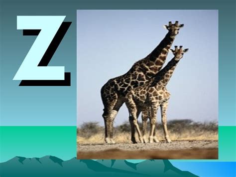 Abjad Dan Gambar Ppt