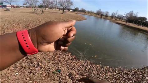 How To Fish Small Ponds Bass Fishing Pondfishing Bassfishing