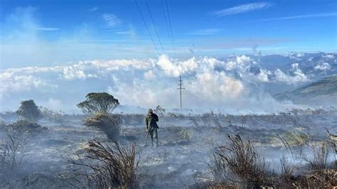 🔴en Vivo Incendios En Colombia 12 Conflagraciones Afectan A Ocho