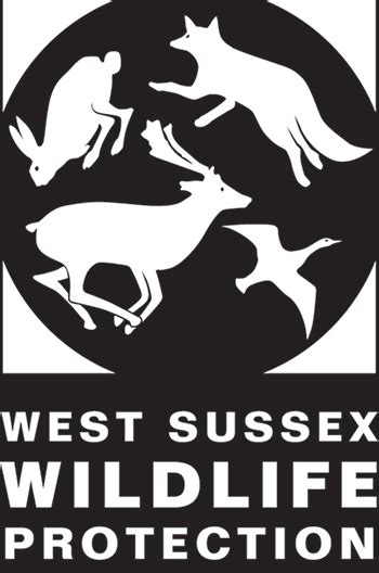 Autumn Winter Newsletter 2021 West Sussex Wildlife Protection