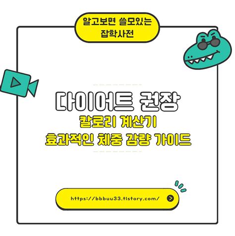 다이어트 권장 칼로리 계산기 효과적인 체중 감량 가이드