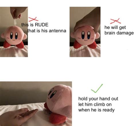 How To Properly Handle Your Kirby Rkirby