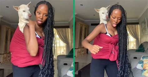 Woman Makes Tiktok Dance Video With Dog On Her Back Mzansi Viewers