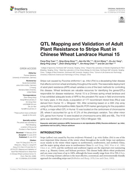 Pdf Qtl Mapping And Validation Of Adult Plant Resistance To Stripe