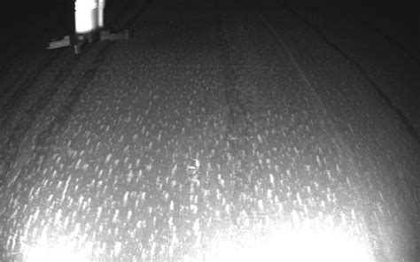 How To Use The Probe Detection Object Detection Api