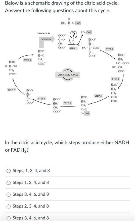 Solved Below Is A Schematic Drawing Of The Citric Acid