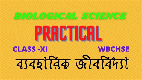 Practical Class Xi Discussion On Question Paper Wbchse In Bengali