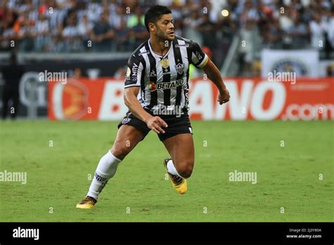 Brazilian Hulk Hi Res Stock Photography And Images Alamy