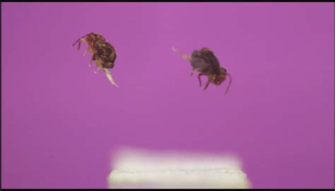 Ready To Teach — Dataclassroom