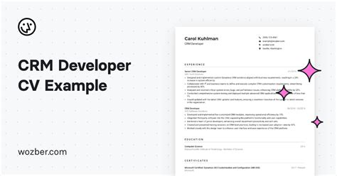 Crm Developer Cv Example