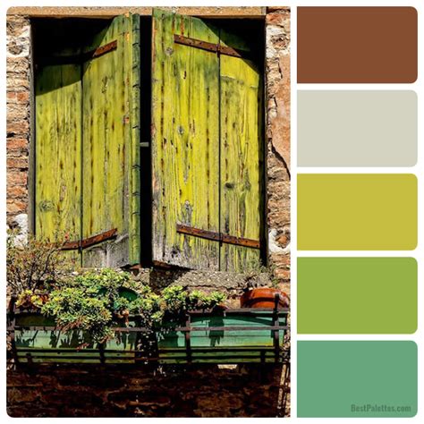Best Window Color Palettes