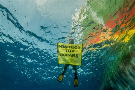 There Is Some Fin Special About The Oceans Greenpeace International