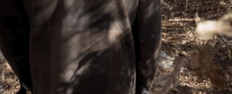 Get Out Analysis “get Out” Written And Directed By By Ashley