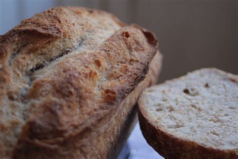 Bread Sourdough Yeast Free Photo On Pixabay Pixabay