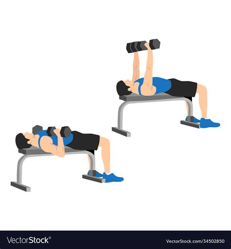 Man Doing Dumbbell Flat Bench Press Royalty Free Vector