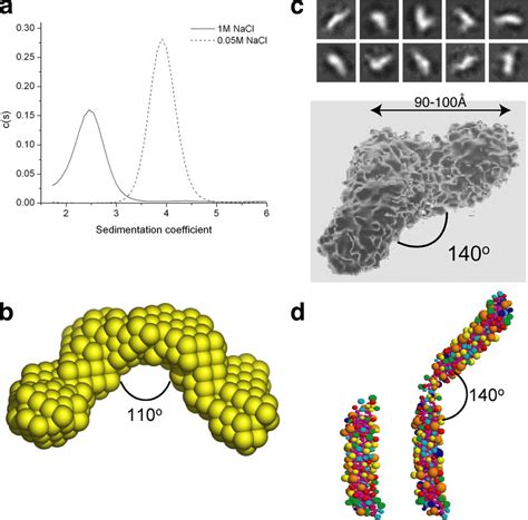 Neuronal Snare Complexes Form A Wing Shaped End To End Dimer Purified