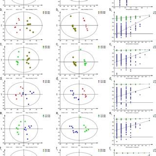 Score Plots Of Pca Pls Da Models And Permutation Test Results Of
