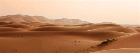 Sand Dunes Can ‘communicate With Each Other