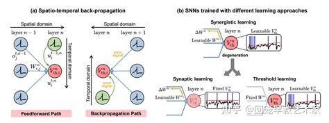 SNN系列文章1A Synapse Threshold Synergistic Learning Approach for Spiking