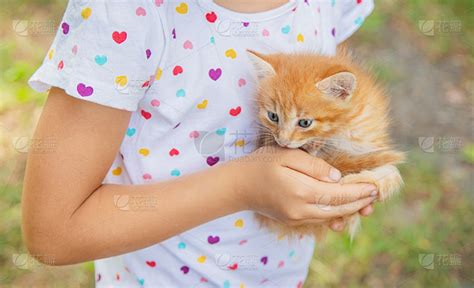 孩子们手里的小猫。有选择性的重点。