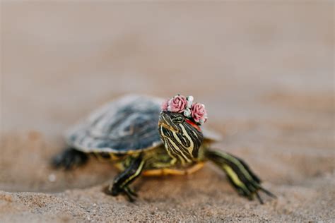 Pythonで長いコードを改行して記述する方法dot blog