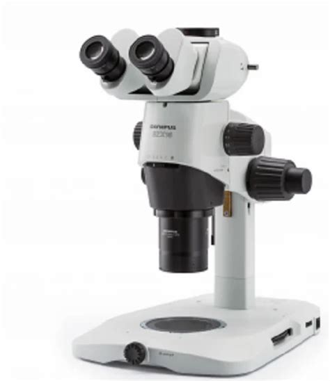 Stereo Zoom Microscope At Best Price In Jaipur By Pinnakle Healthcare