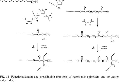 The Crosslinked Networks Are Hard And Rigid Exhibiting Download Table