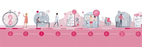 Visual Timeline Detailing Early Detection Steps For Health Assessments And Patient Journeys
