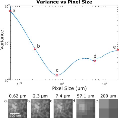 Variance In The Image From Figure 1 At Varying Spatial Resolutions Download Scientific