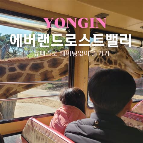 에버랜드 큐패스 로스트밸리 사파리 예약 가격 자리 시간 퍼레이드 불꽃놀이 스타벅스 네이버 블로그