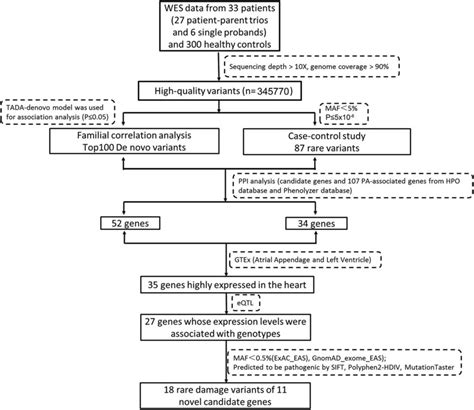 The Workflow Chart Of The Study The Workflow Shows The Analytical Download Scientific Diagram