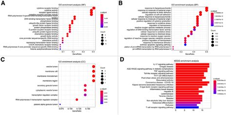 Go And Kegg Pathway Enrichment Analysis Graphs The Results Of Go