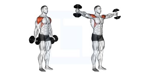 Cable Front Raise Guide Benefits And Form