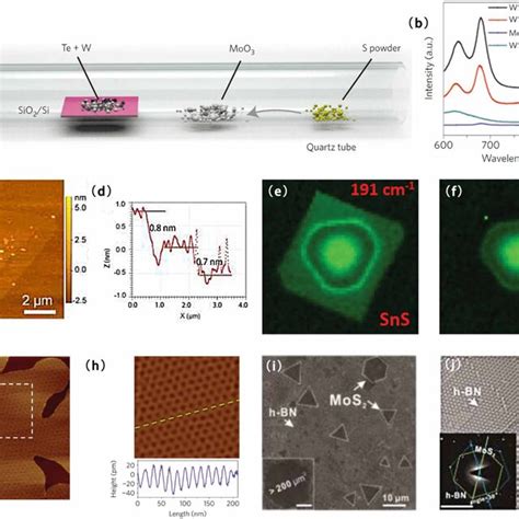 Schematic 2d Heterostructures Vertically Stacked Heterostructure And Download Scientific