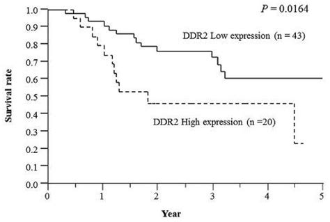 DDR2 Expression Is Associated With A High Frequency Of Peritoneal Dissemination And Poor