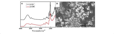Ftir Spectra Of β Cd And β Cdp A And Sem Image Of β Cdp B