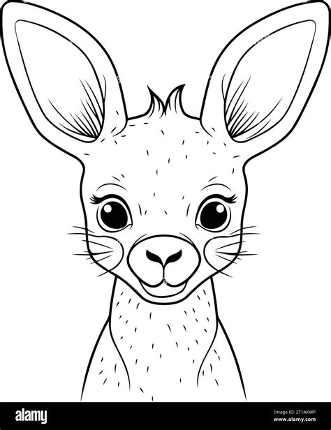 Cute Kangaroo Hand Drawn Sketch Vector Illustration Stock Vector Image Art Alamy