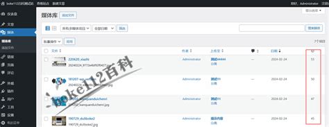 如何实现wordpress后台显示文章、分类目录、标签等的id？wordpress后台显示id号 Csdn博客