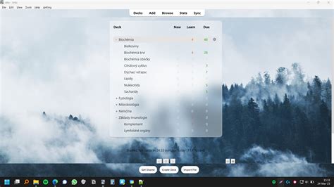user interface size too big and cannot be set for lower in setting how