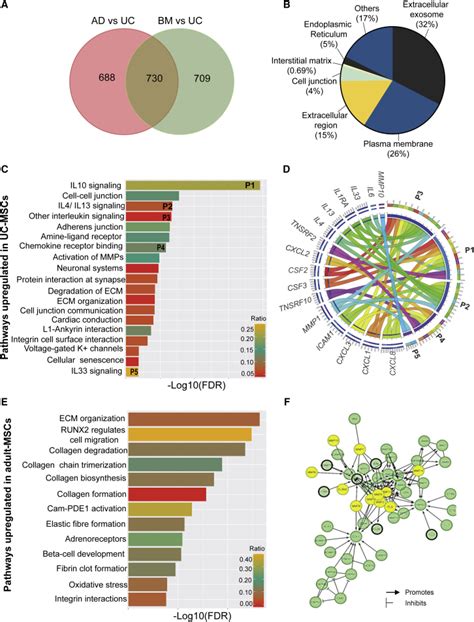 Integrated Transcriptome Proteome Analyses Of Human Stem Cells Reveal